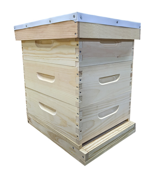 Triple Medium Set-up, Assembled | Eversweet Apiaries